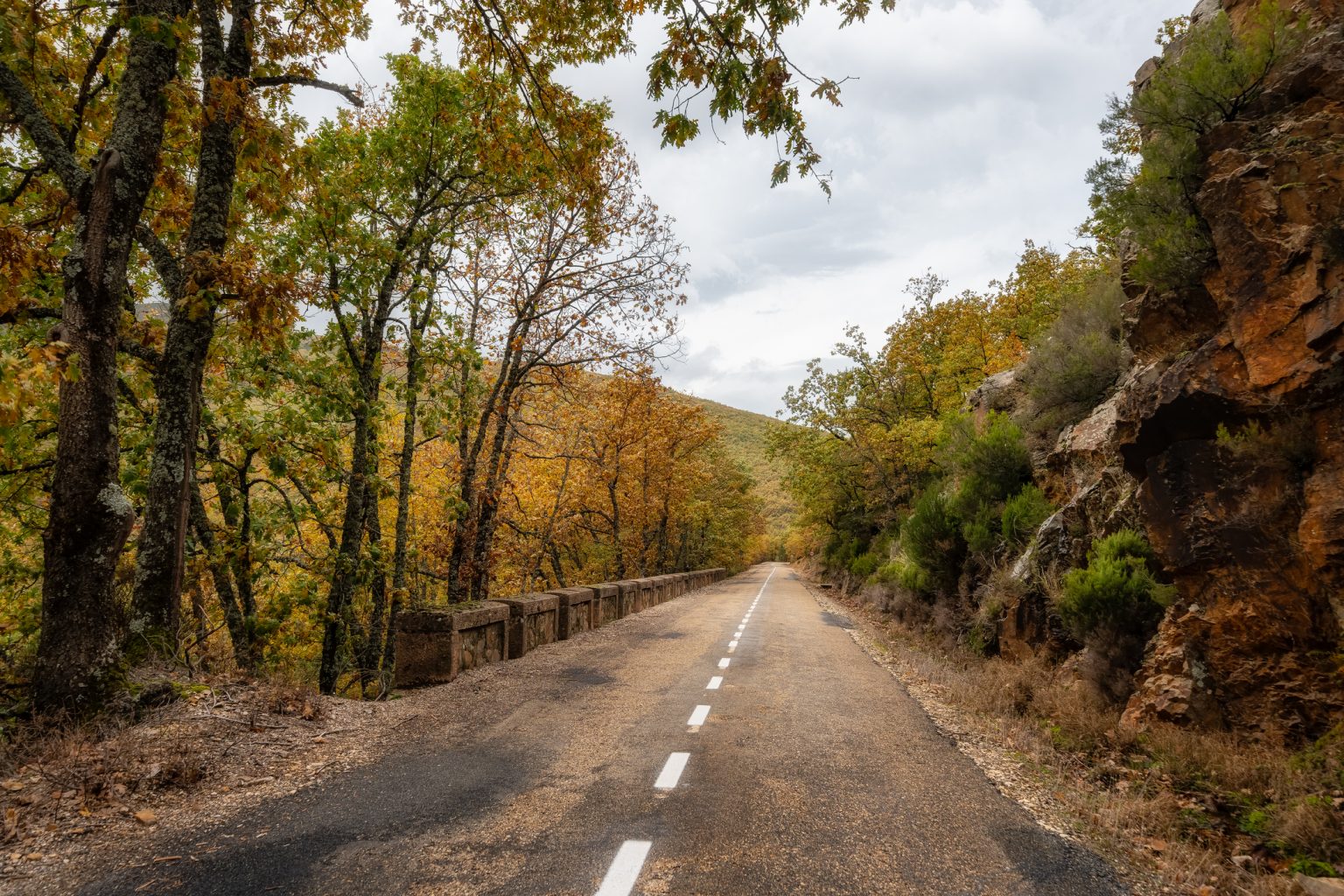 GRAVAL – Ultracycling Valencia